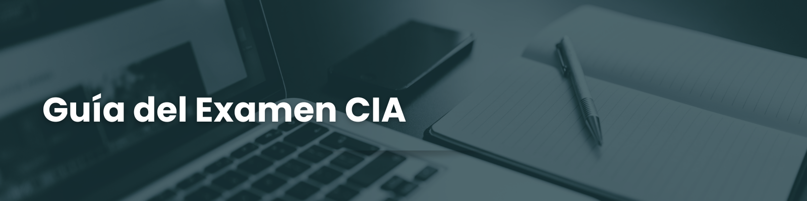 Guia Examen CIA - Curso del CIA en español