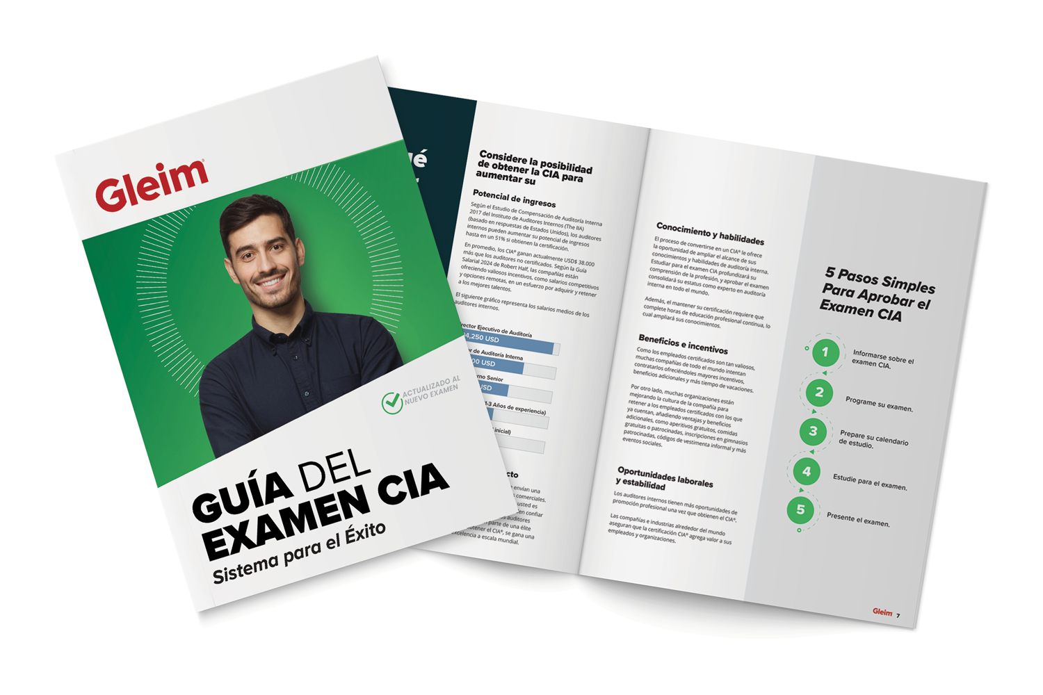 Guia Examen CIA - Curso del CIA en español